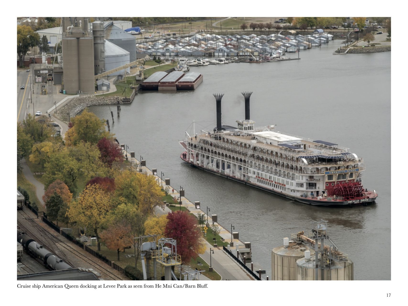New Book: Eagles of Red Wing - RW Wild Photography