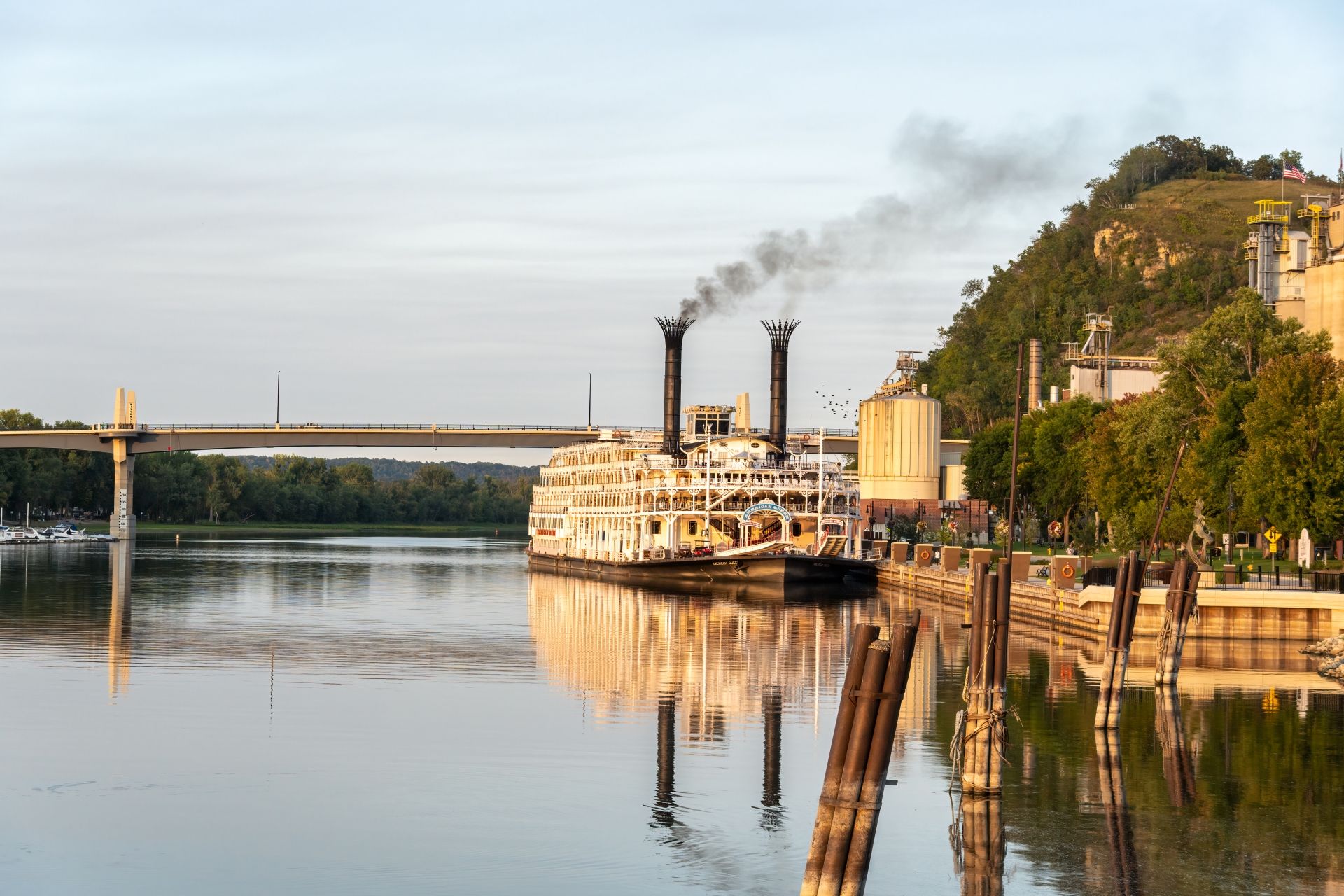 Red Wing - RW Wild Photography